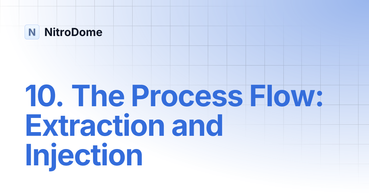 10. The Process Flow: Extraction and Injection | NitroDome